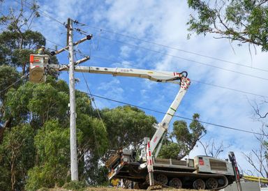 Media centre | CitiPower & Powercor