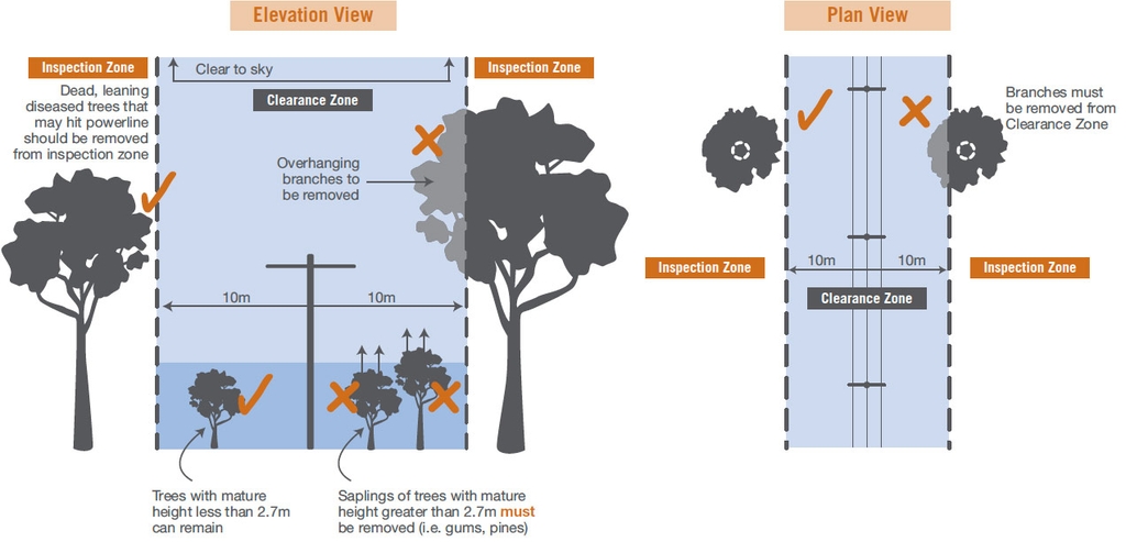 Vegetation clearing requirements for new powerlines | CitiPower & Powercor