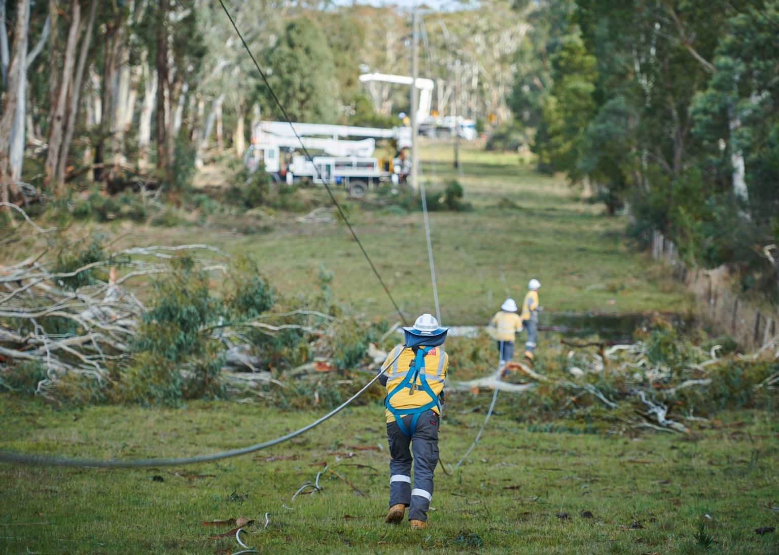 Media centre | CitiPower & Powercor