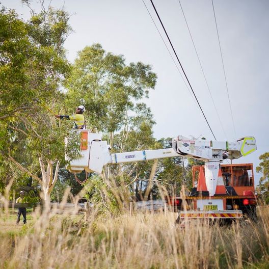 Network upgrades with mySupply | CitiPower & Powercor
